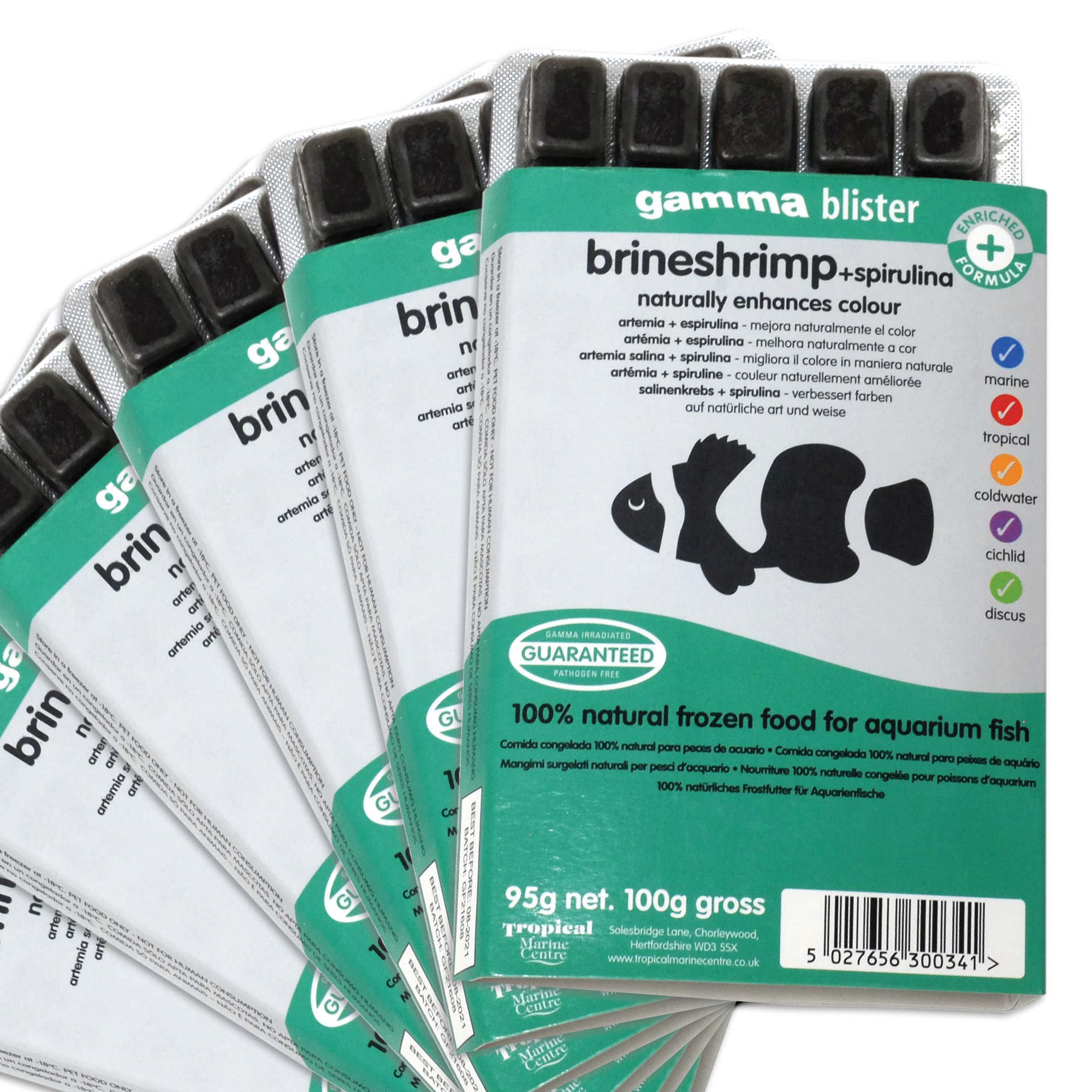 Gamma Frozen Food Brine Shrimp plus Spirulina Blister Pack Fish Food ...