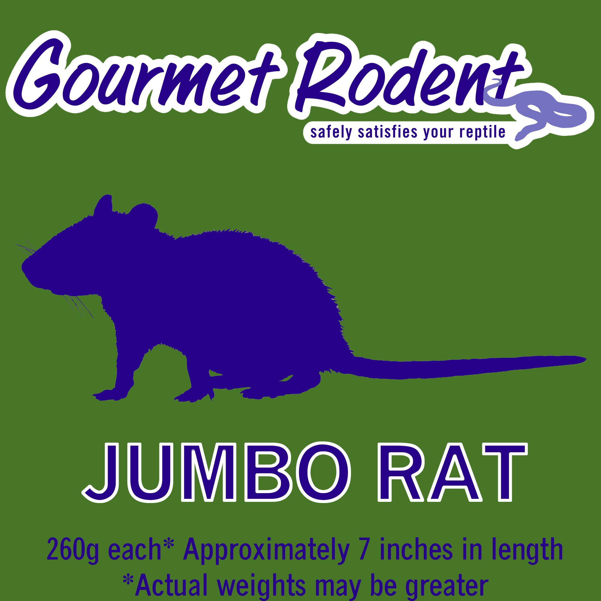 Frozen Jumbo Rat | Petco