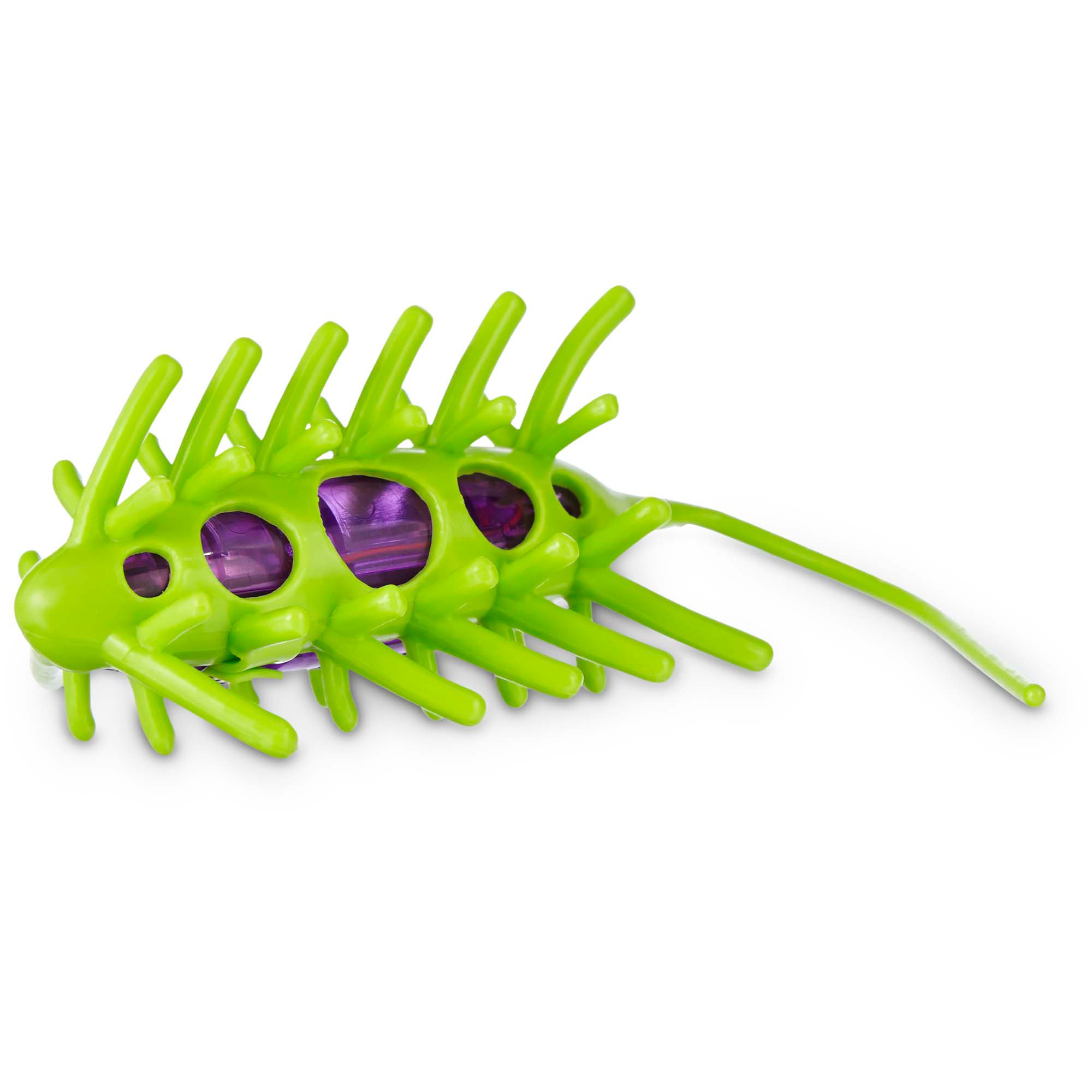 Leaps & Bounds Wiggle Bug Cat Toy | Petco