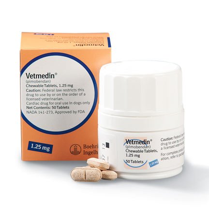 Pet Medicine & Prescription Pet Food for Cats & Dogs | Petco