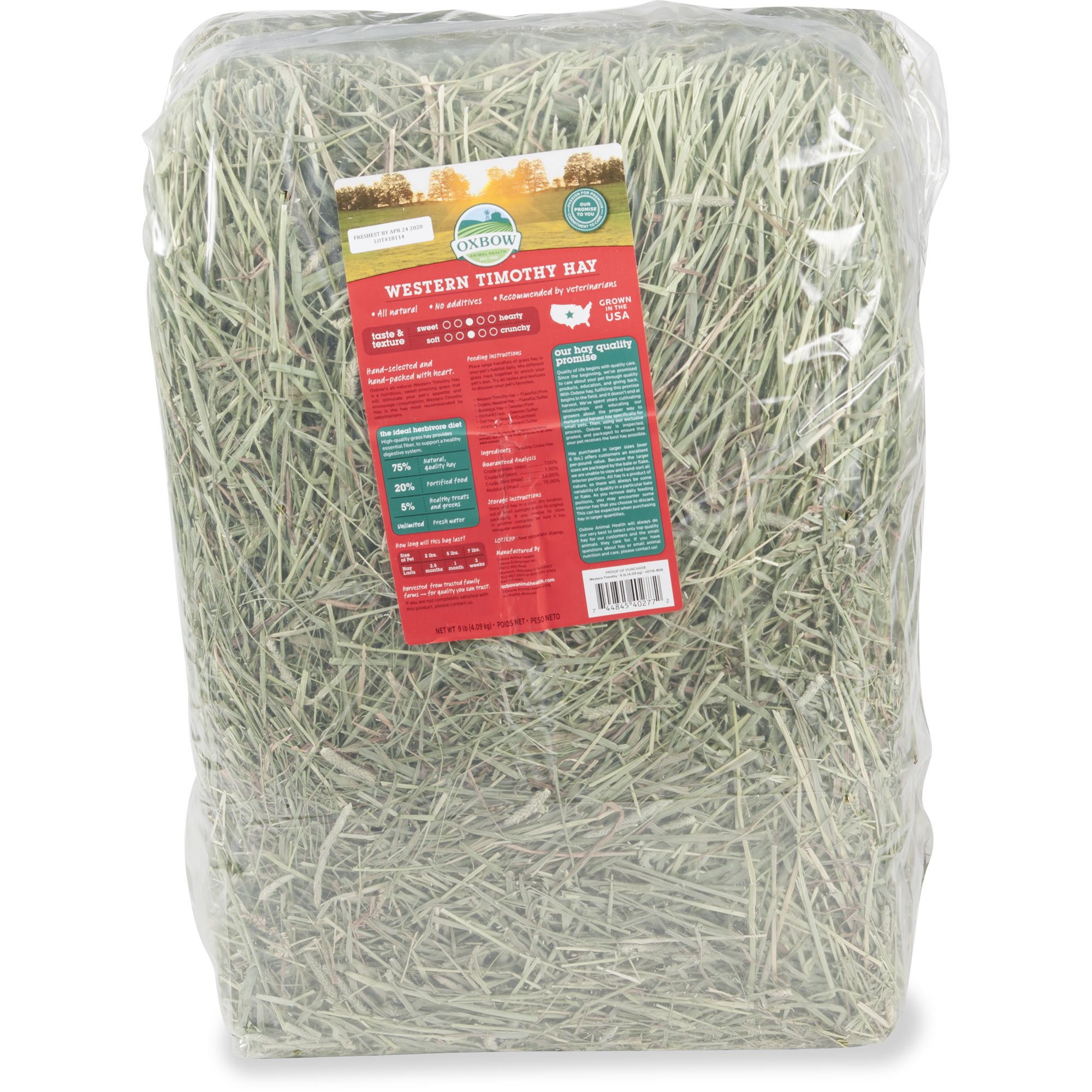 Oxbow Western Timothy Hay | Petco