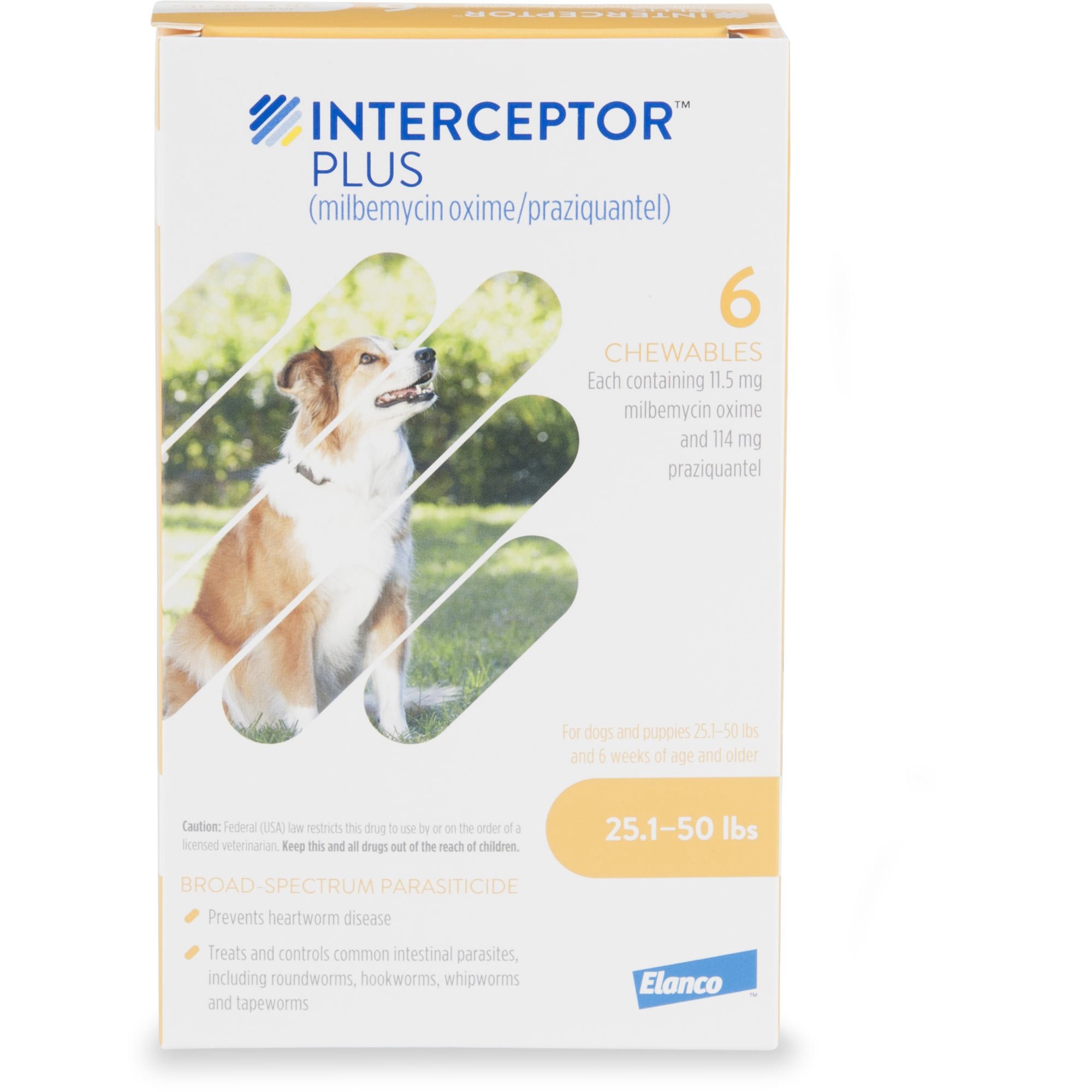 Interceptor Plus Chewables for Dogs 25 to 50 lbs. | Petco